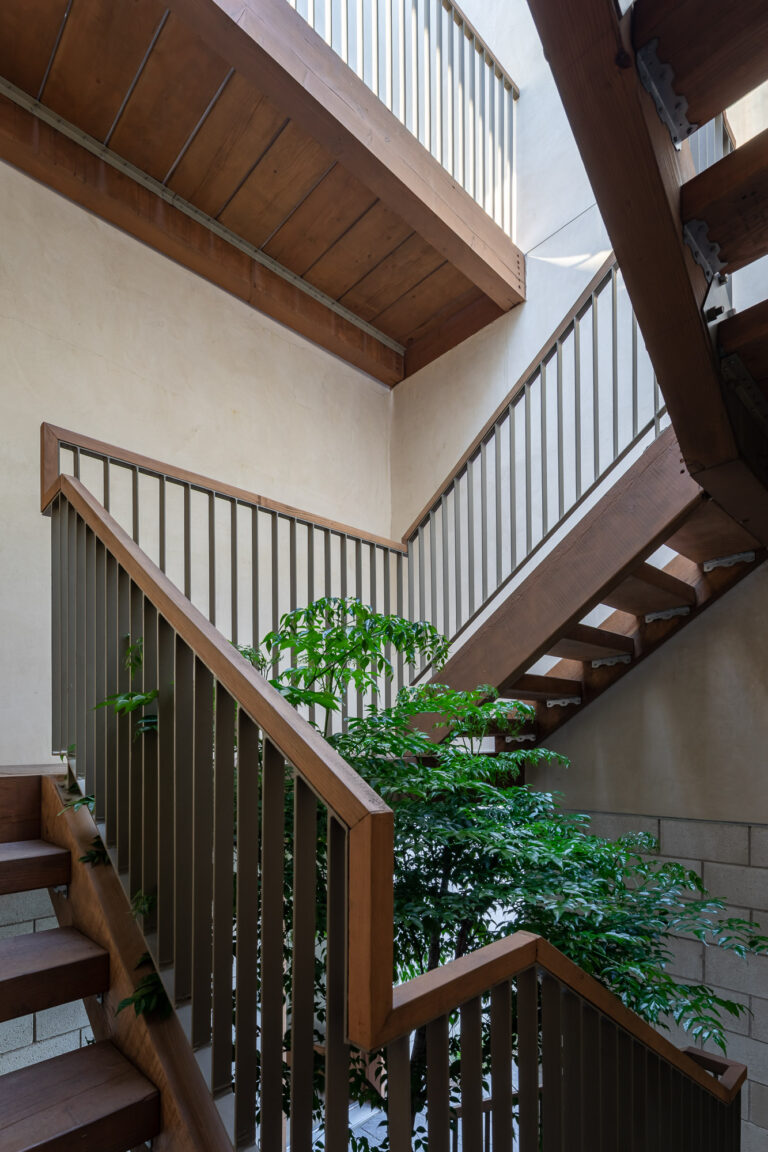 Tselner - Jeff Svitak