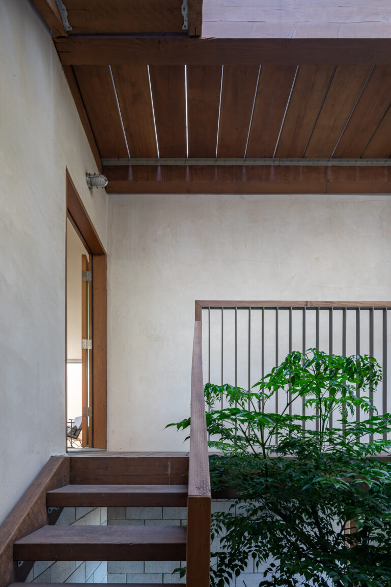 Tselner - Jeff Svitak