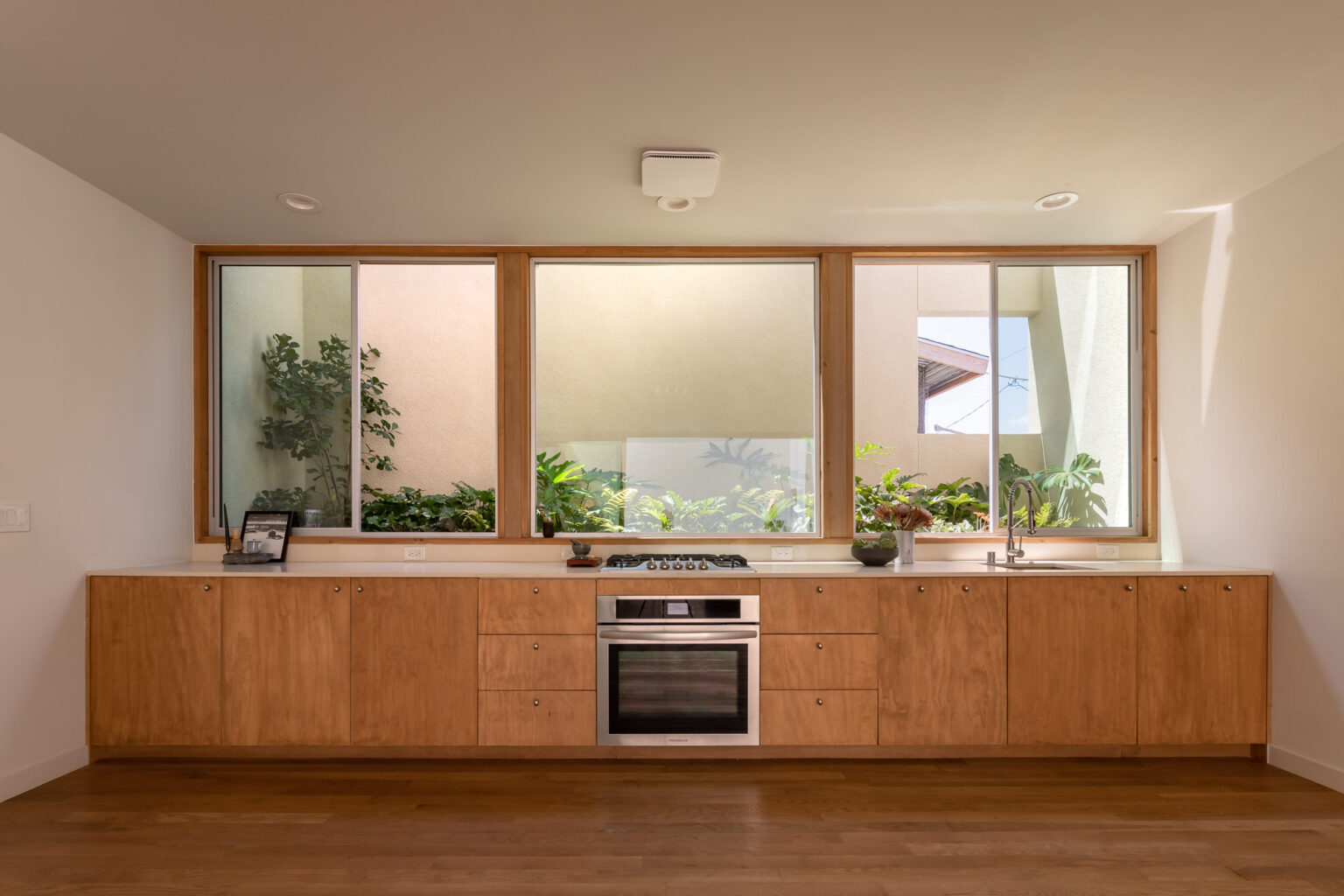 Tselner - Jeff Svitak